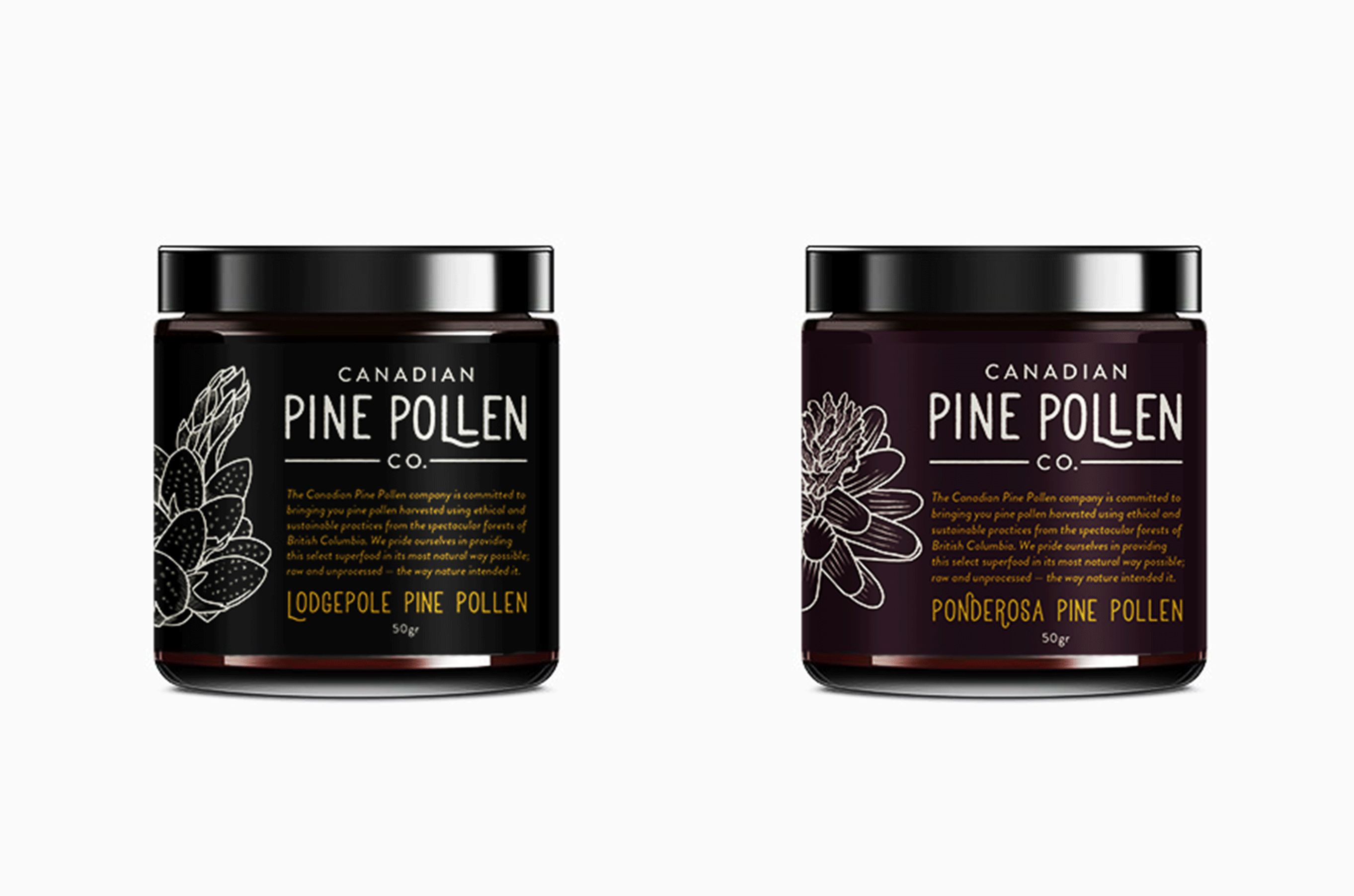 Canadian Pine Pollen